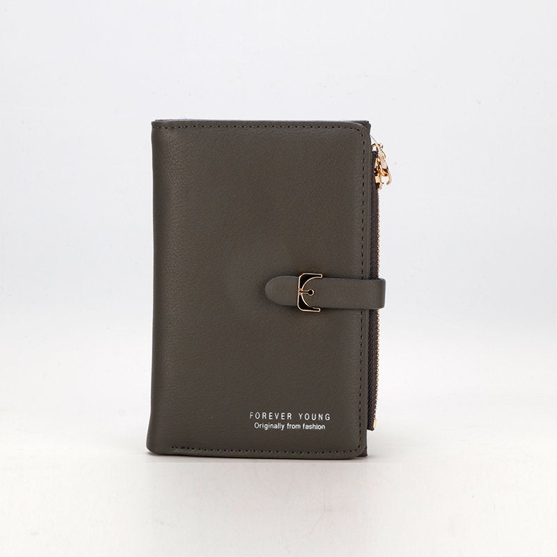 Grey Fascinating Buckle Design Lock Wallet With Golden Zip For Womens